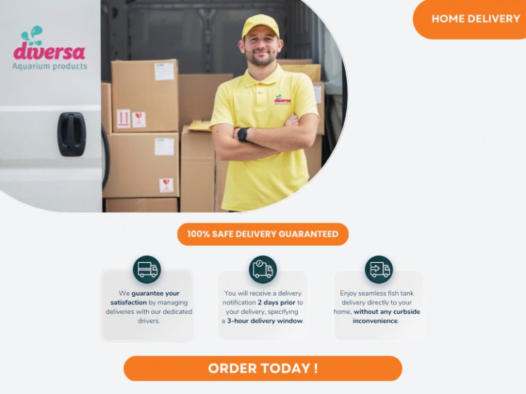 Free Delivery > MB Store