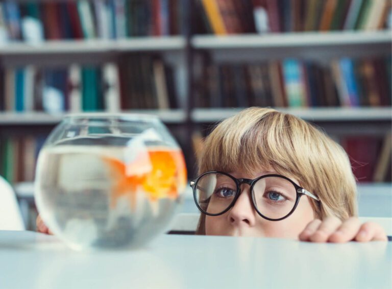 Aquariums, cold water, saltwater, and tropical fish tank - Bacup